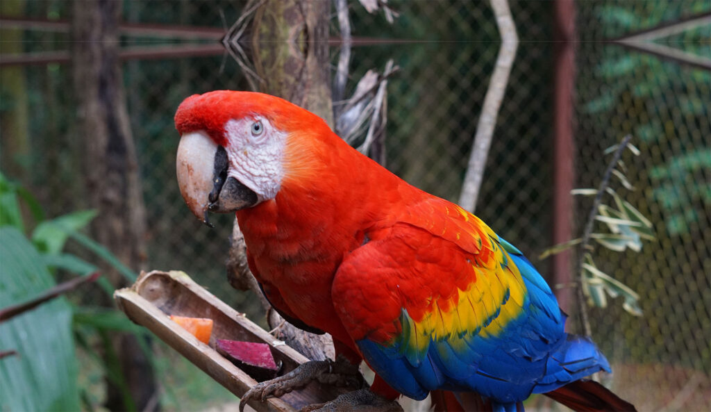 Tours - Alturas Wildlife Sanctuary