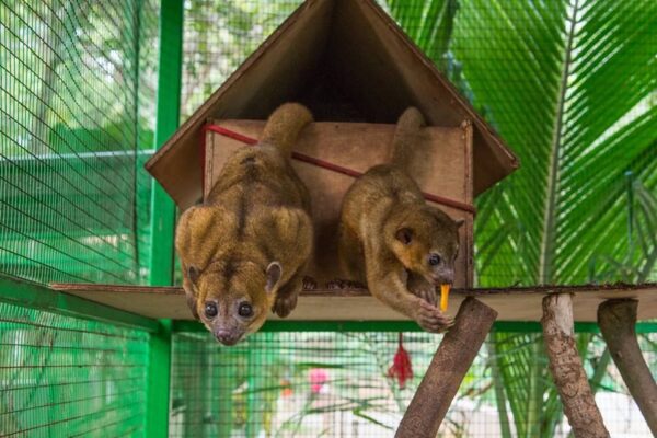 Photo Gallery - Alturas Wildlife Sanctuary